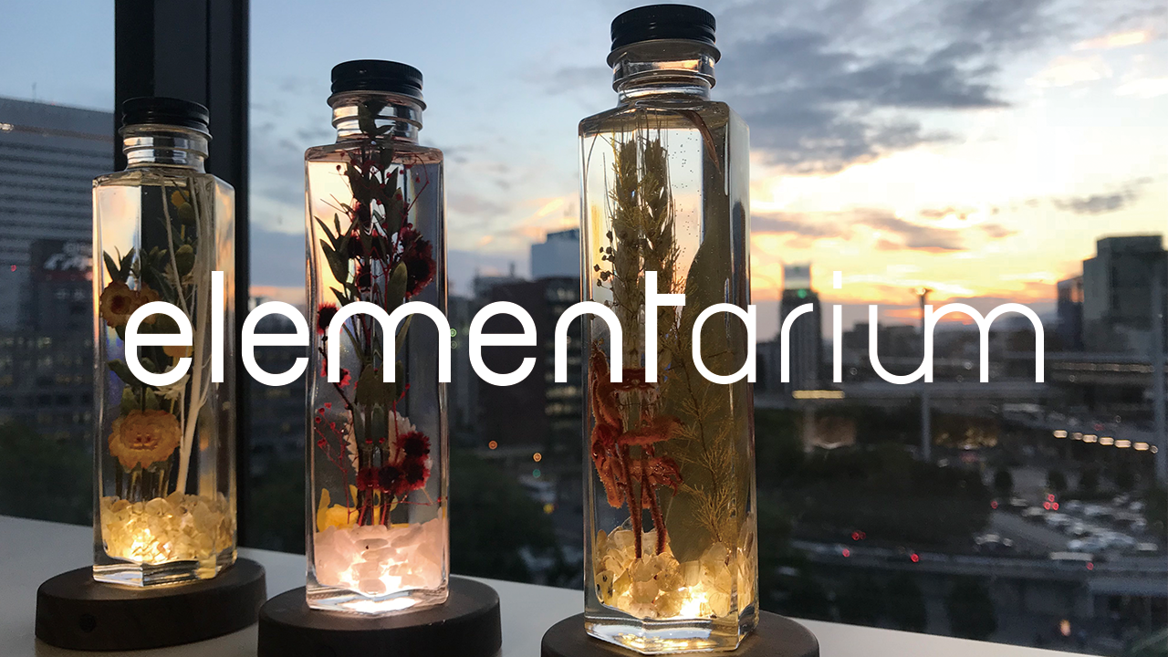 最新情報 - Information - – elementarium